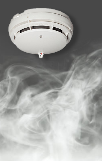 Solution Navigator | Order